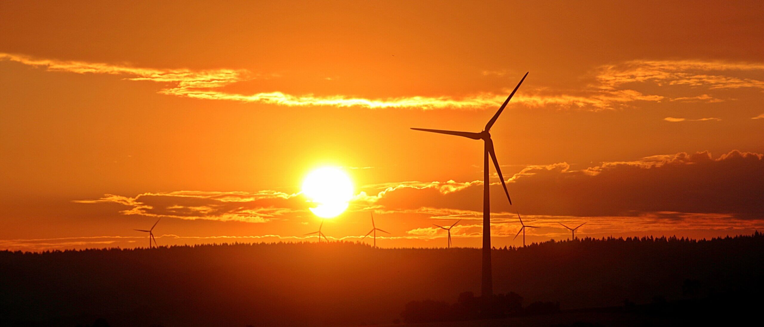 Bryt Insight February 2021 - brytenergy