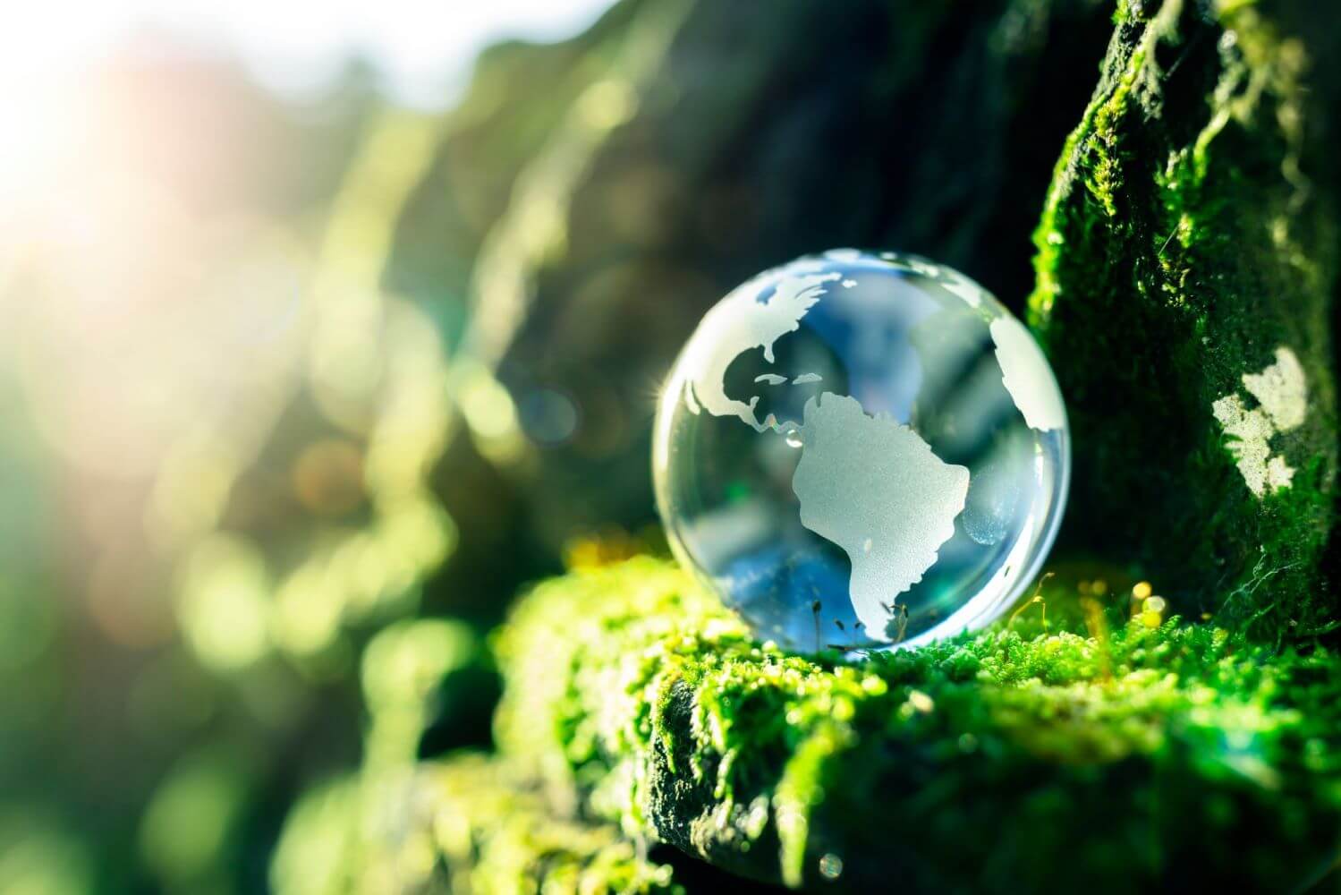 Bryt Insight December 2023 - brytenergy