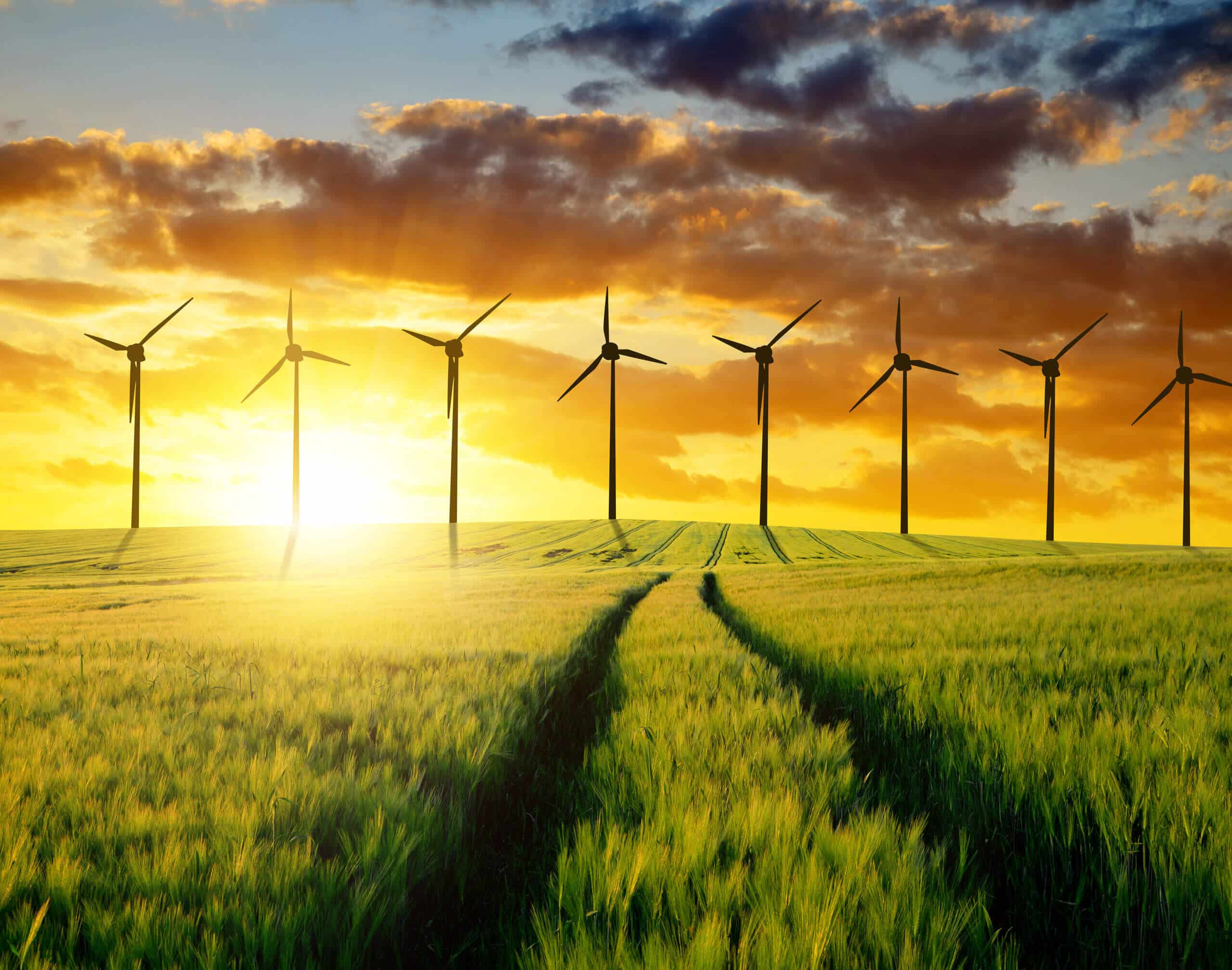 Bryt Insight June 2024 - brytenergy