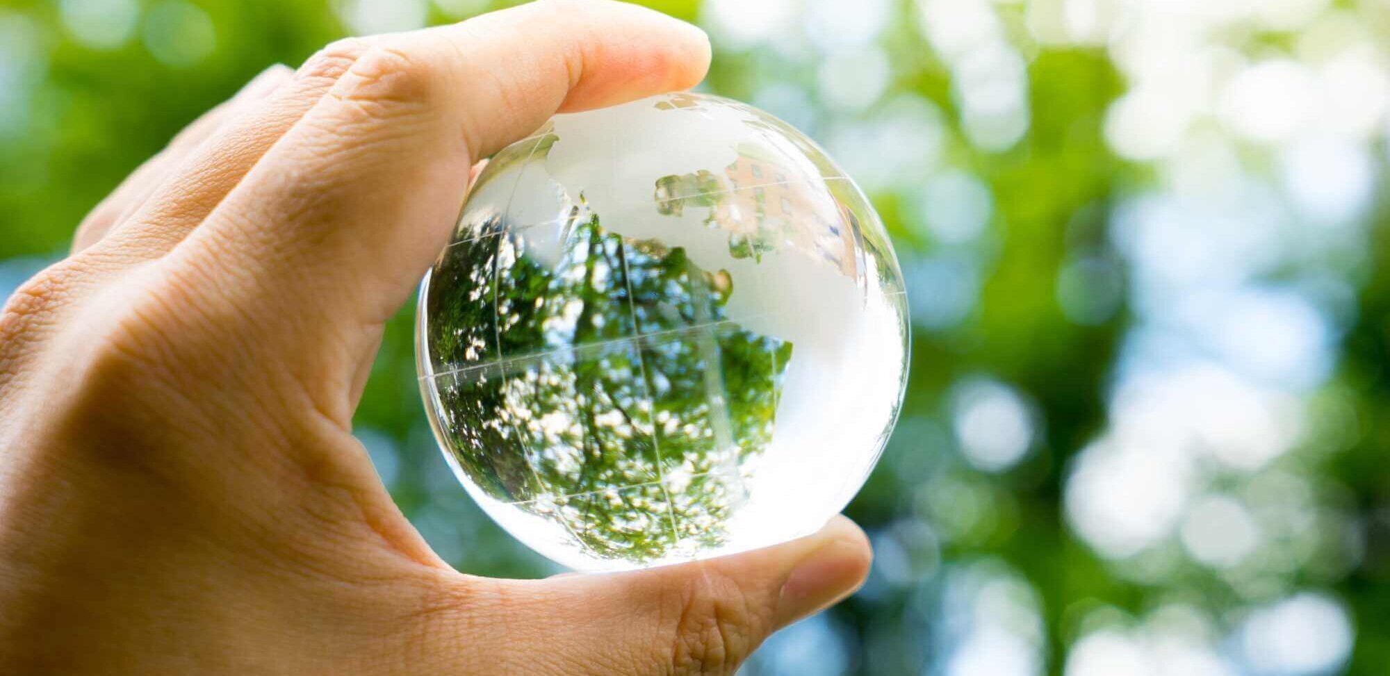 Bryt Insight December 2024 - brytenergy